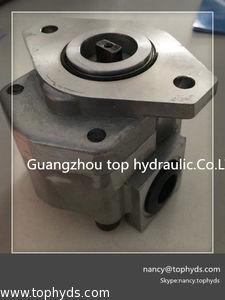 China Rexroth Hydraulic Charge pump/gear pump for A10VD43 for sale
