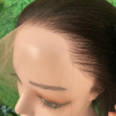 China 10 to 18 Natura Virgin Human Hair Full HD LACE Straight Body Wave Wig with Transparent Full Lace for Black Women's Braiding for sale