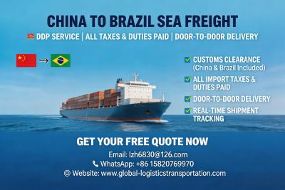 China China To Brazil DDP Freight Forwarder Time Saving High Speed Convenience Operation for sale