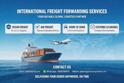 China China to Europe DDP Sea Freight Service for sale
