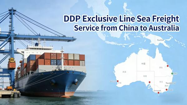 Quality Shenzhen Freight Forwarder China To Sydney Sea FCL Service Custom Solutions for sale