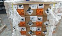 Quality Shenzhen Canada International Freight Shipping Dangerous Goods High Safety for sale