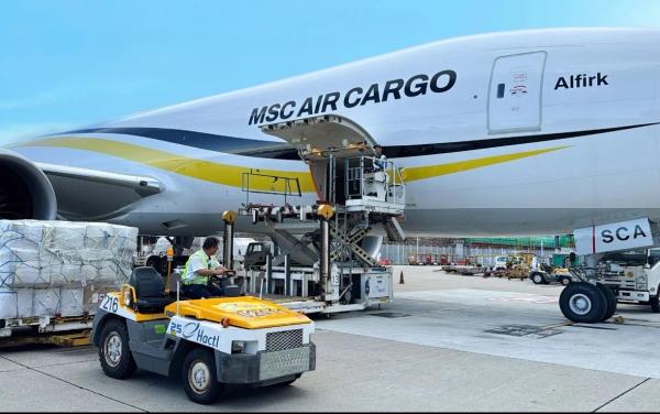 Quality Stable Freight Forwarder China To Australia Quickly International Cargo Shipping for sale