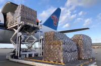 Quality Shenzhen China To Canada Freight Forwarder Air Freight Service General Cargo for sale