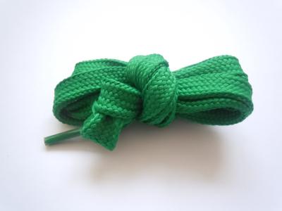 China O costume imprimiu o nylon do projeto do arco-íris/o laço sapata do poliéster, laços de tênis de corrida à venda
