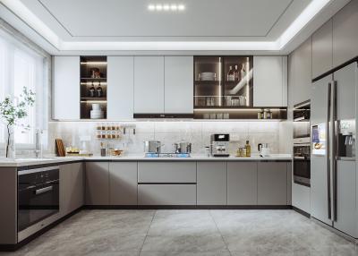 Cina Pannelli truciolari moderni armadi da cucina componibili con cassetto per residenza domestica in vendita