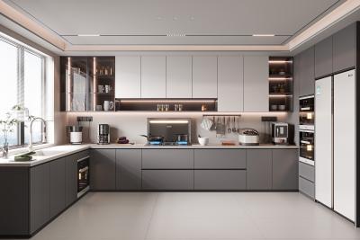 Cina Pannelli truciolari moderni armadi da cucina componibili con cassetto per residenza domestica in vendita
