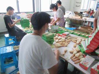 Cina Pettini pre l'ispezione di qualità di AQL di servizi di ispezione della spedizione in vendita