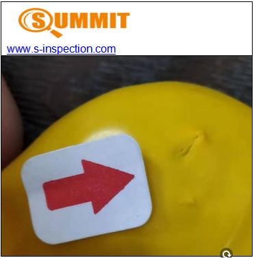 Cina Servizi elettrici di ispezione della sommità della pompa del pallone, servizi di ispezione del prodotto 128-218USD in vendita