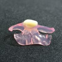 China Acrylic Removable Valplast Denture Durable for Restorative Dentistry for sale