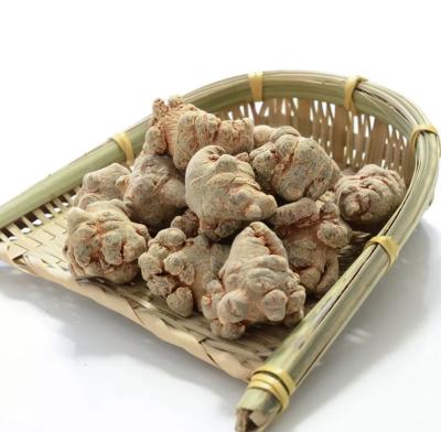 China 1012 San qi Factory Supply Natural Panax notoginseng for sale