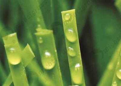 China Multi-Purpose Synthetic Grass, MT-Peace for sale