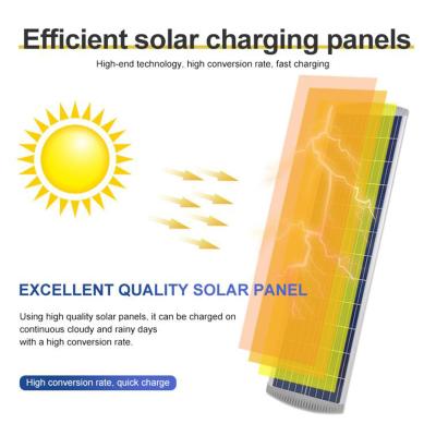 Cina 1000W ha integrato il sensore a distanza di moto IP65 dell'iluminazione pubblica solare con la batteria al litio Palo in vendita