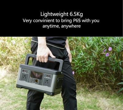 中国 ピクニックを暴露500の時の携帯用太陽発電機は-抑制剤を炎にあてる 販売のため