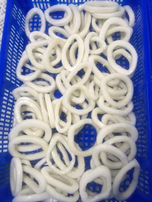 China Frozen Squid Ring, Gigas/ Illex/ Todarodes/ north pacific for sale