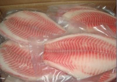 China Fresh Frozen Tilapia Fish Fillet for sale