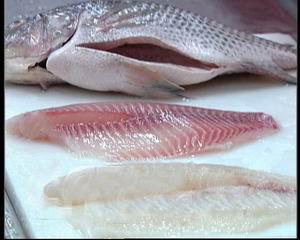 China Frozen Tilapia Whole Round, Frozen Tilapia Fillet for sale