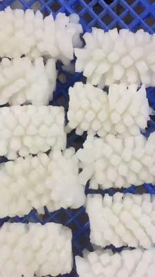 China Frozen Gigas / Giant squid flower, 3-5cm, 4-6cm for sale
