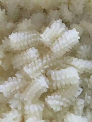 China Frozen squid flower, pinapple cut, carvings for sale