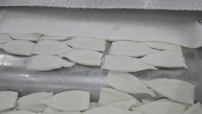 China Frozen Squid Tube for sale