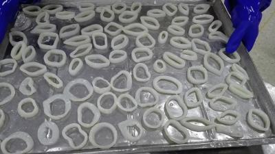 China Frozen Squid Ring for sale