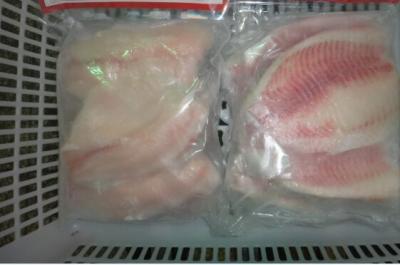 China Frozen Tilapia Fillet for sale