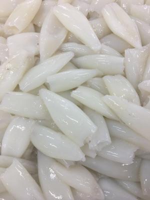 China Frozen Loligo Squid Tube for sale
