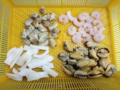 China Frozen Seafood Mix for sale