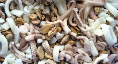China Frozen mixed seafood for sale