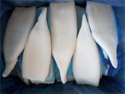 China Frozen Squid Tube, interleaved pack for sale