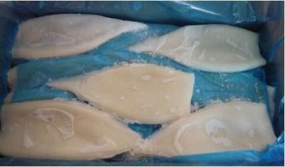 China Frozen Squid Tube,  interleaved pack for sale