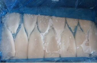 China Frozen Squid Tube, interleaved pack for sale