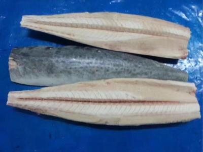 China Frozen spanish mackerel fillet for sale