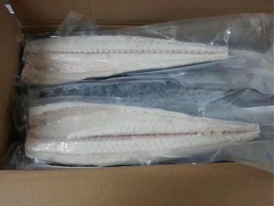China Frozen spanish mackerel fillet for sale