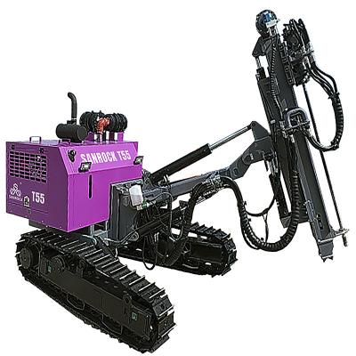 China Crawler Drilling Rig Equipment Hard Rock Blast Hole Drilling Machine Top Hammer Drill Rigs for sale