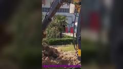 Impact Rotary Drilling Rig 25m Deep Hydraulic Borehole Rotary Drilling Rig Machinery