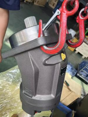 Cina Motore idraulico Rexroth originale A2FM250 per macchine da sollevamento in vendita