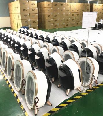 Cina Analizzatore portatile della pelle del certificato del CE per medico e la clinica di bellezza in vendita