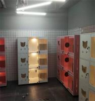 China Customized Multilayer Luxury Solid Wood Cat Villa Multifunction Durable for sale