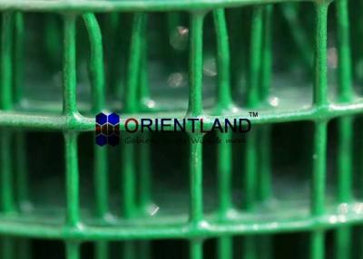 China High Strength Ss Weld Mesh / Green Vinyl Coated Wire Fencing 1/2 Inch By 1/2 Inch for sale