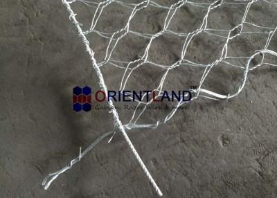 Cina Il gabbione galvanizzato immerso caldo ingabbia i gabbioni esagonali resistenti della rete metallica 100x120mm in vendita