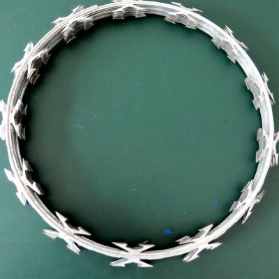 Cina nastro pungente della concertina di 450mm in vendita