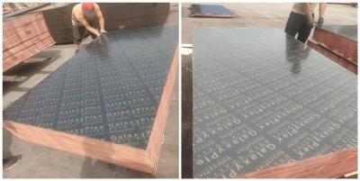 China Marine plywood for sale