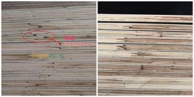 China Shuttering plywood for sale