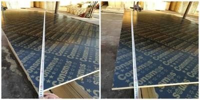 China Formwork plywood for sale
