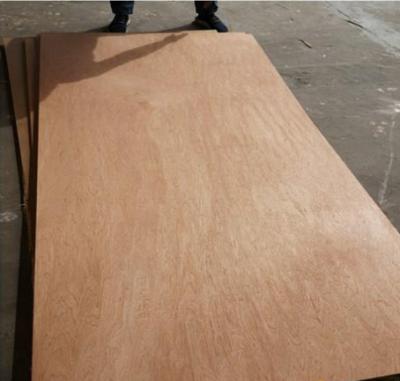 China Red veneer commercial plywood for sale