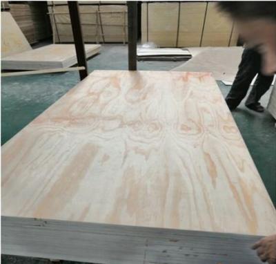 China Pine plywood for sale