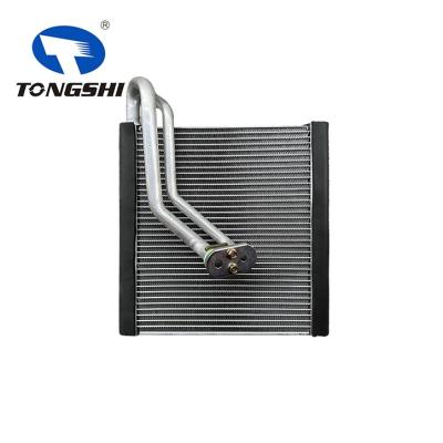 China Audi A3 2021 - Auto Air Conditioner Evaporator Volkswagen Lamando 2015 - 2019 for sale