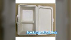 Eco Friendly Food Packaging Extra Large