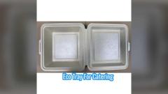 Eco Friendly Food Tray Dual Section Long